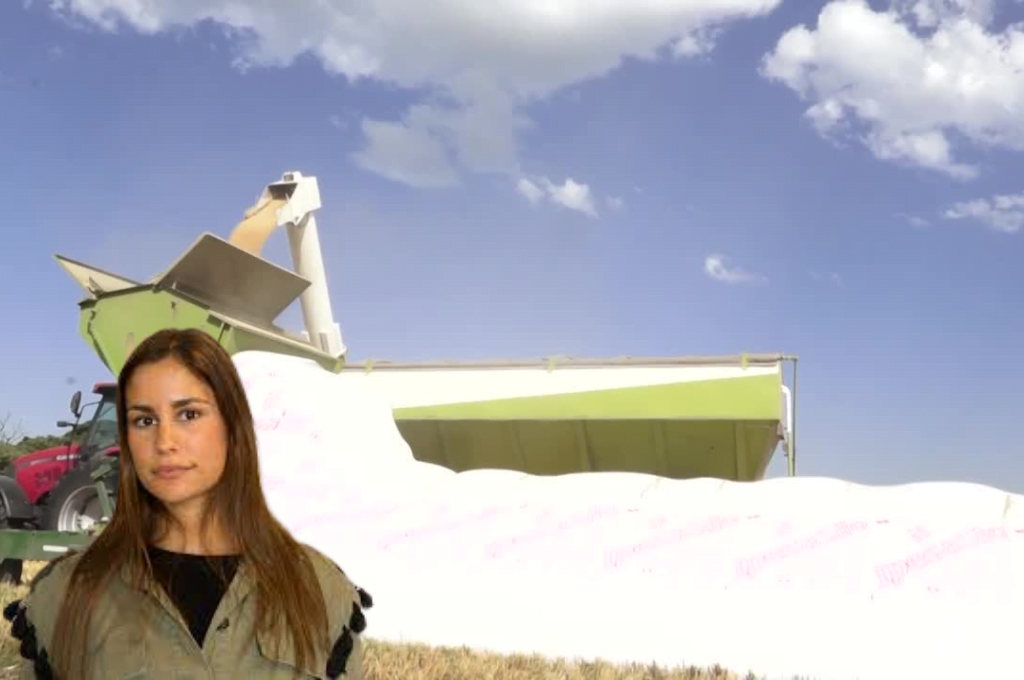 Portal Agropecuario | " Los rumores de solución de la guerra generaron ...